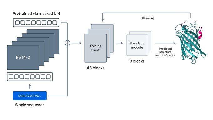 Prediction of protein structure using ESMFold | Marvelous Misadventures in Bioinformatics